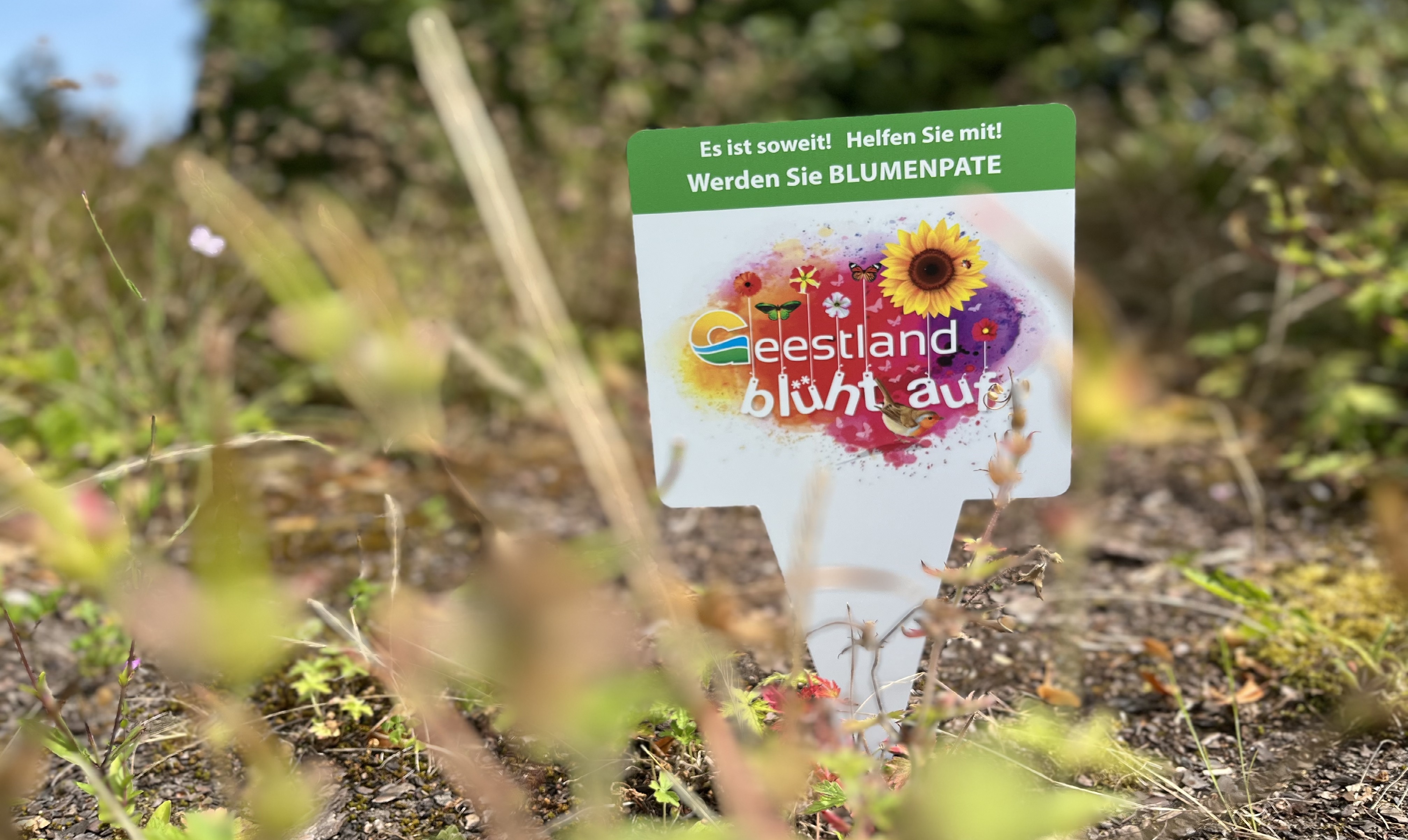 WILLKOMMEN in Geestland